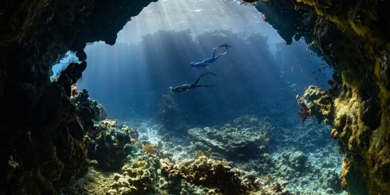 Life in the Hadal Zone: How Marine Animals Survive the Deep Trenches